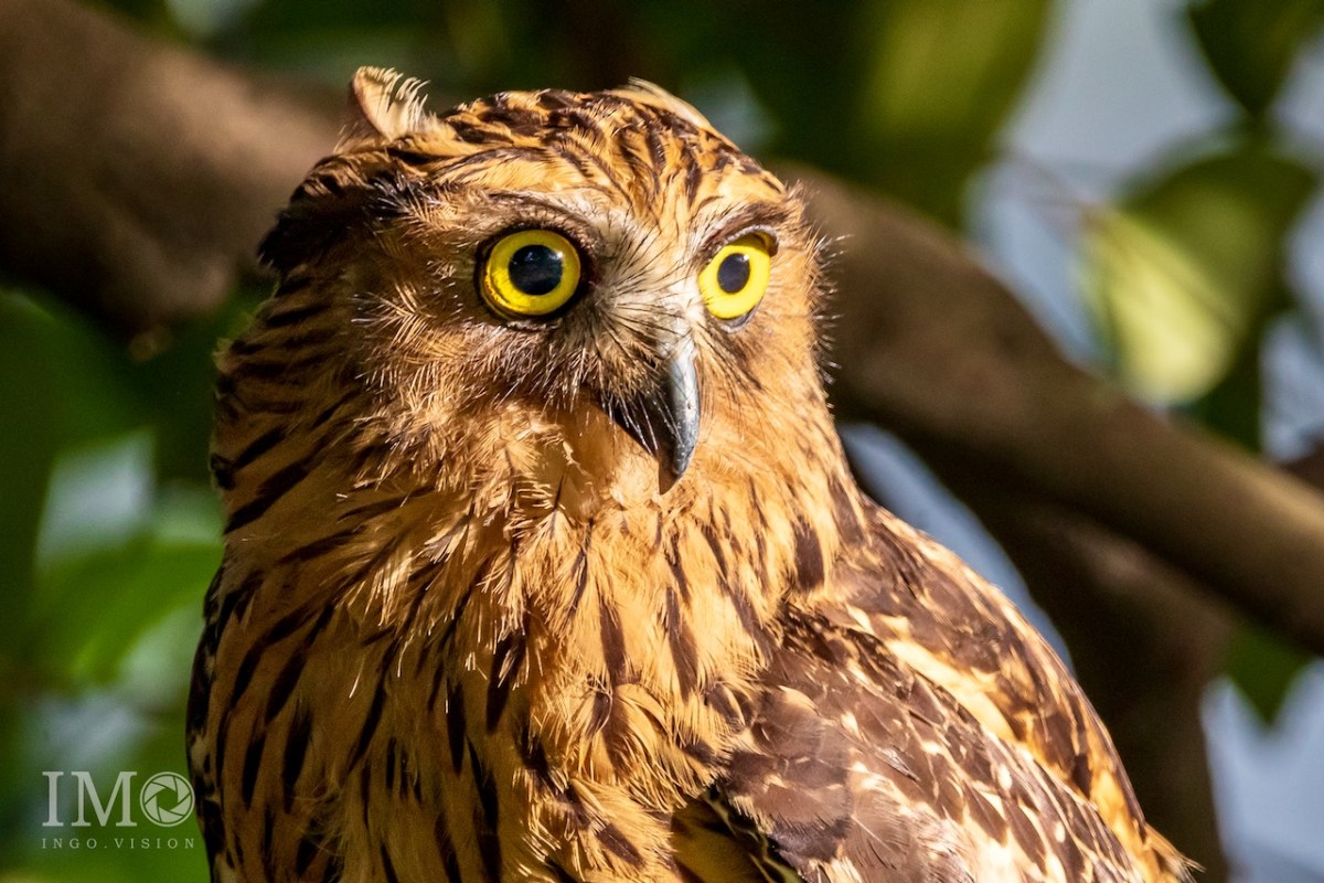 Ingo Moench Photography – As a hobbyist photographer I love to explore ...